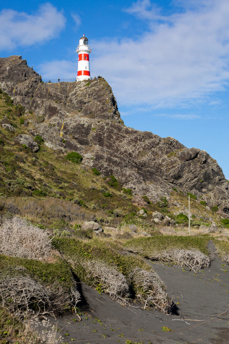 Nouvelle-Zélande | Cap Palliser, la pointe sud de l’Île du Nord ...